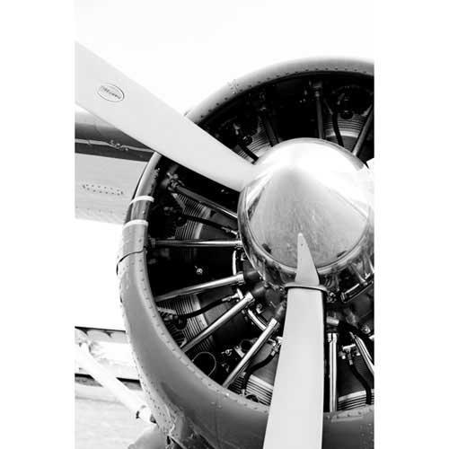 Aviation Art Print by Steven Greenwald – Beaver B&W Airplane ...