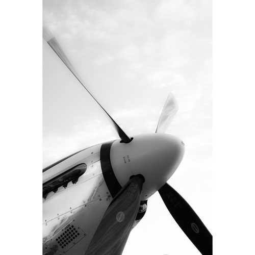 Steven Greenwald P-51D Aviation Art Print – Black & White – PilotMall.com