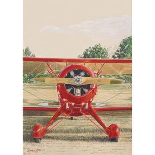 Limited Edition Aviation Art – Waco Biplane Sam Lyons – PilotMall.com