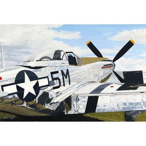 Sam Lyons P-51D Mustang Aviation Art – Limited Edition – PilotMall.com