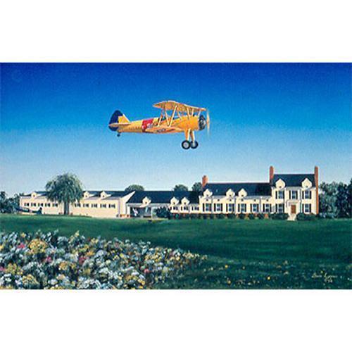 Sam Lyons Aviation Art: The Dream Stearman Limited Edition – PilotMall.com